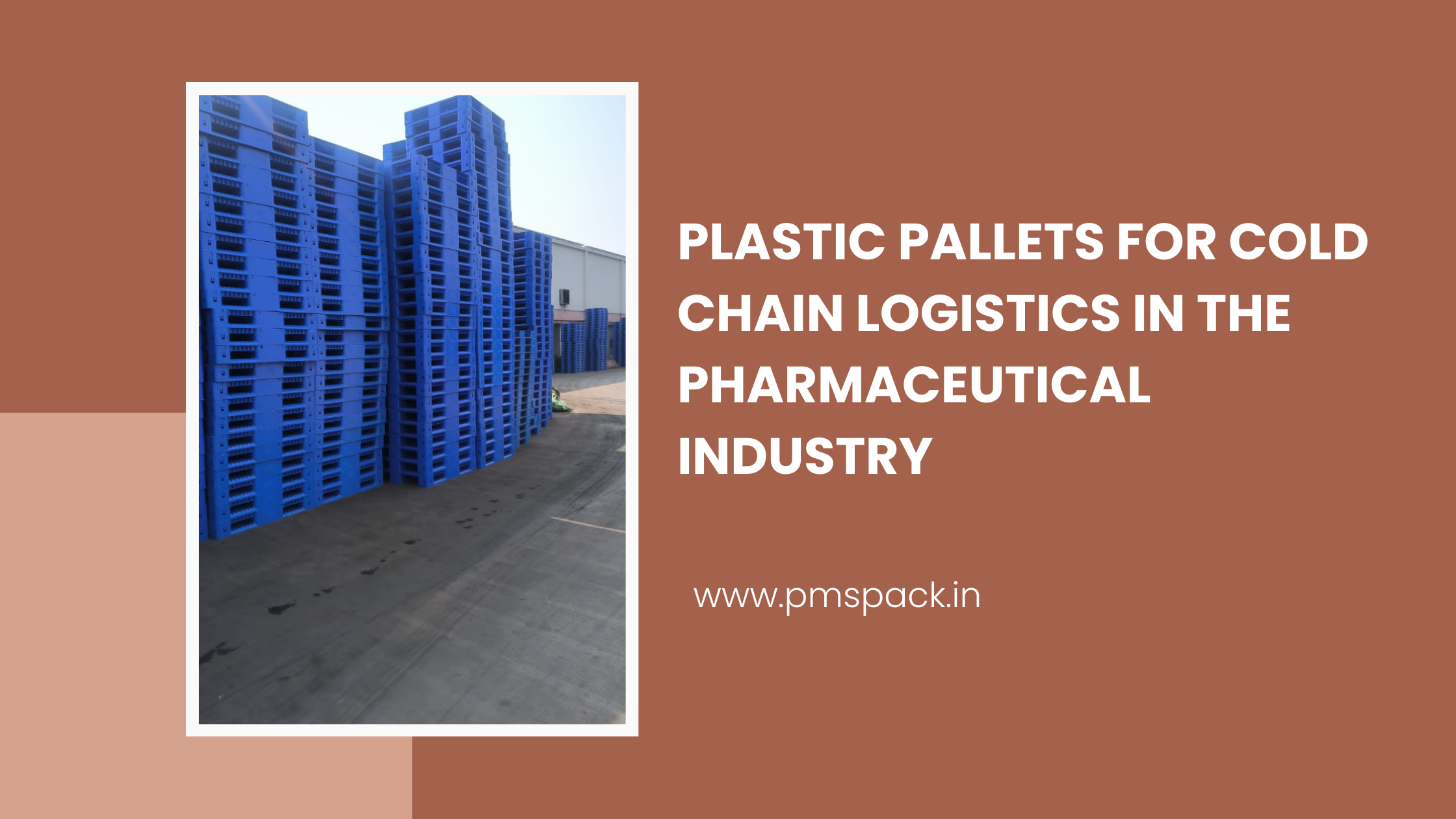 Plastic Pallets for Cold Chain Logistics in the Pharmaceutical Industry ...